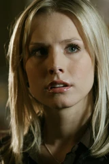 Hulk | BloodRayne & Mia, the Vampire Slayer Wiki | Fandom