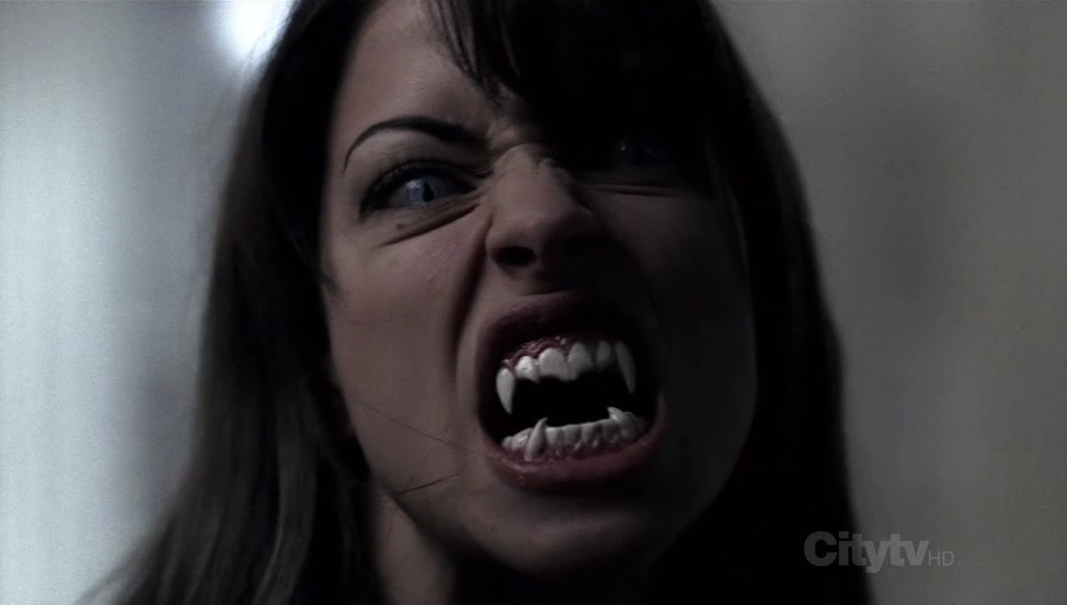 Omega Werewolf | BloodRayne & Mia, the Vampire Slayer Wiki | Fandom