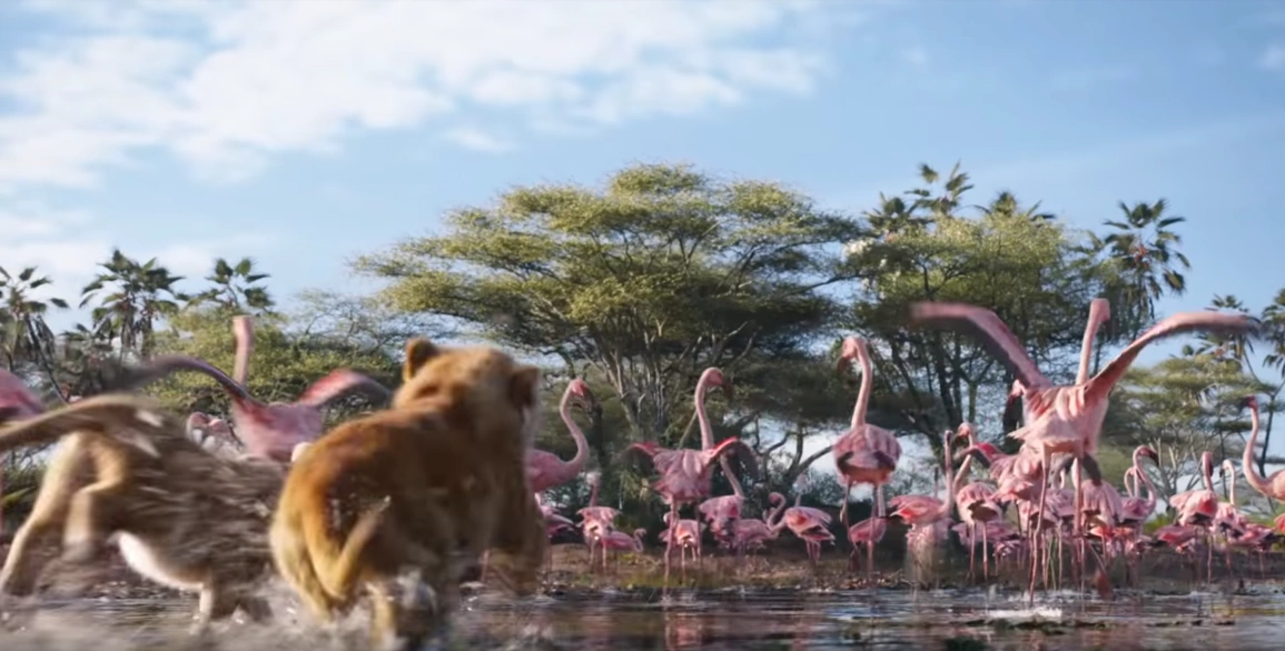 Greater Flamingo | BloodRayne & Mia, the Vampire Slayer Wiki | Fandom