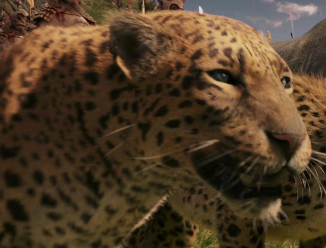 Leopard | BloodRayne & Mia, the Vampire Slayer Wiki | Fandom