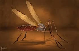 Giant Mosquito | BloodRayne & Mia, the Vampire Slayer Wiki | Fandom