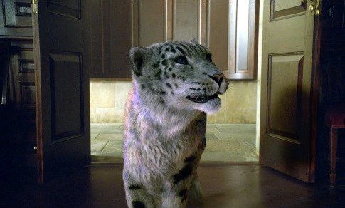 Snow Leopard | BloodRayne & Mia, the Vampire Slayer Wiki | Fandom