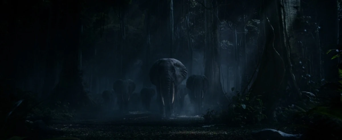 African Forest Elephant | BloodRayne & Mia, the Vampire Slayer Wiki ...