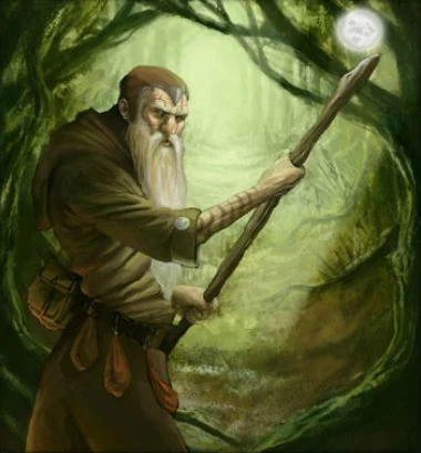 Druid Priest | BloodRealm Wiki | Fandom