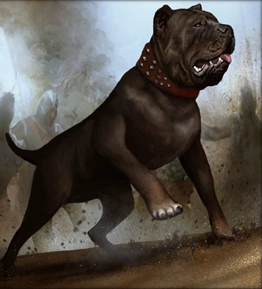 Molosser | BloodRealm Wiki | Fandom