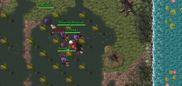 Molpie | Bloodstone the Ancient Curse Online Wiki | Fandom