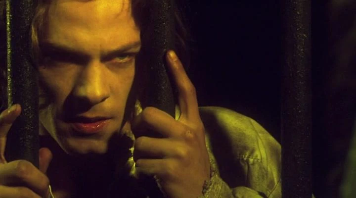 Heart of Fire | Blood Ties Wiki | Fandom