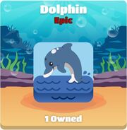 Dolphin | Blooket Wiki | Fandom
