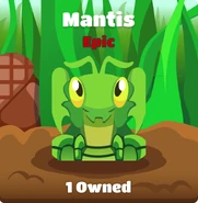 Bug Pack | Blooket Wiki | Fandom