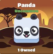 Panda | Blooket Wiki | Fandom