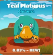 Teal Platypus | Blooket Wiki | Fandom