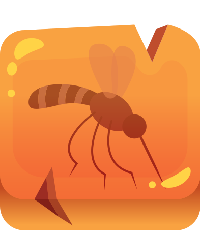 Amber | Blooket Wiki | Fandom