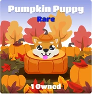 Autumn Pack | Blooket Wiki | Fandom