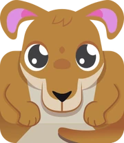 Outback Pack | Blooket Wiki | Fandom