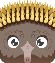 Outback Pack | Blooket Wiki | Fandom