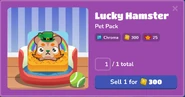 Lucky Hamster | Blooket Wiki | Fandom