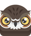 Commons | Blooket Wiki | Fandom