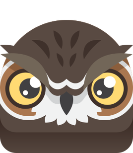 Owl | Blooket Wiki | Fandom