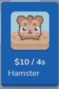Hamster | Blooket Wiki | Fandom