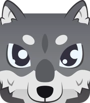 Common | Blooket Wiki | Fandom