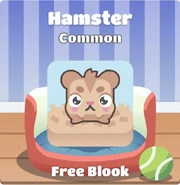 Hamster | Blooket Wiki | Fandom