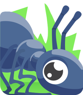 Ant | Blooket Wiki | Fandom
