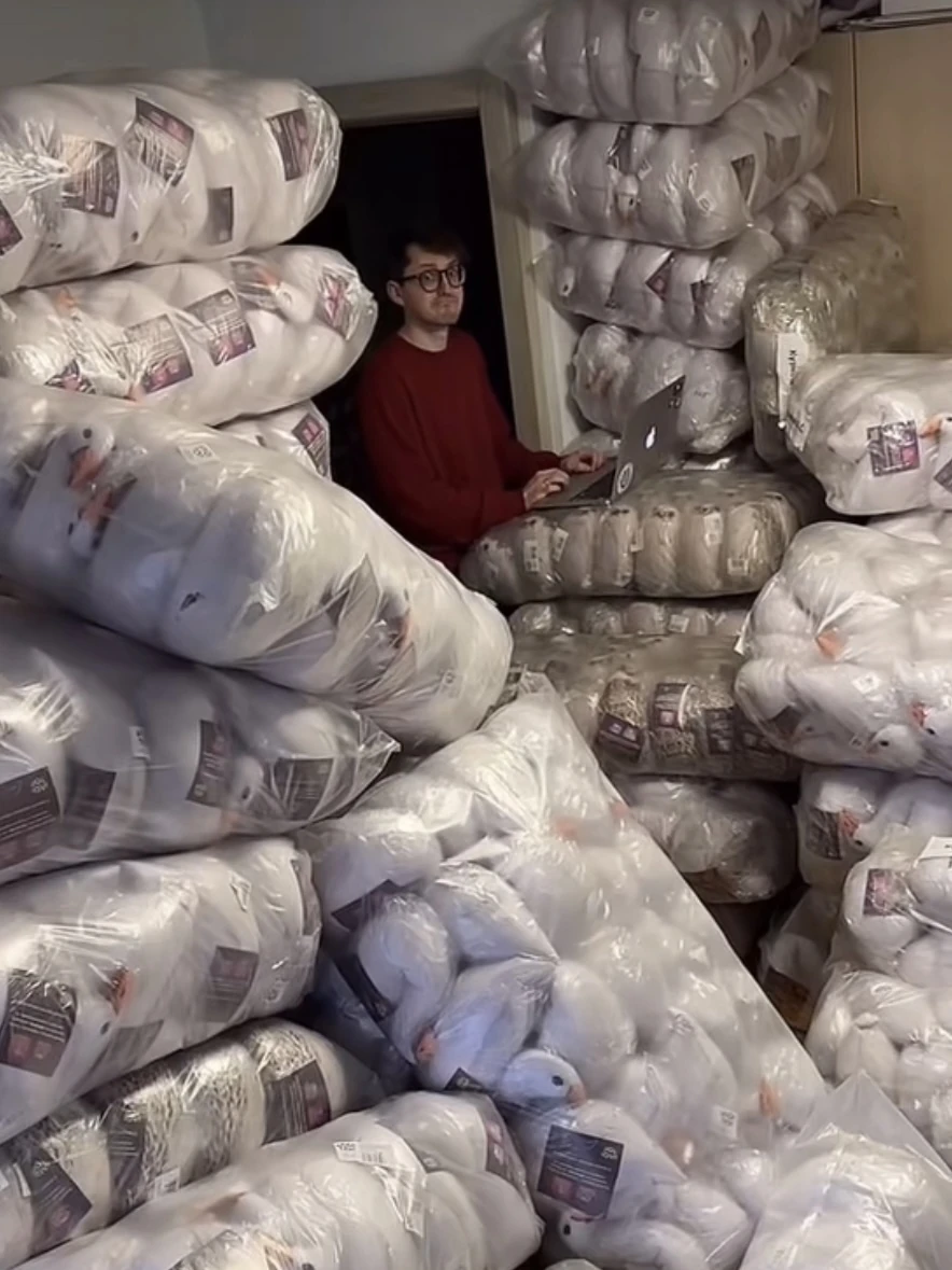 Категория:Обзор | Блоптоп.Вики | Fandom