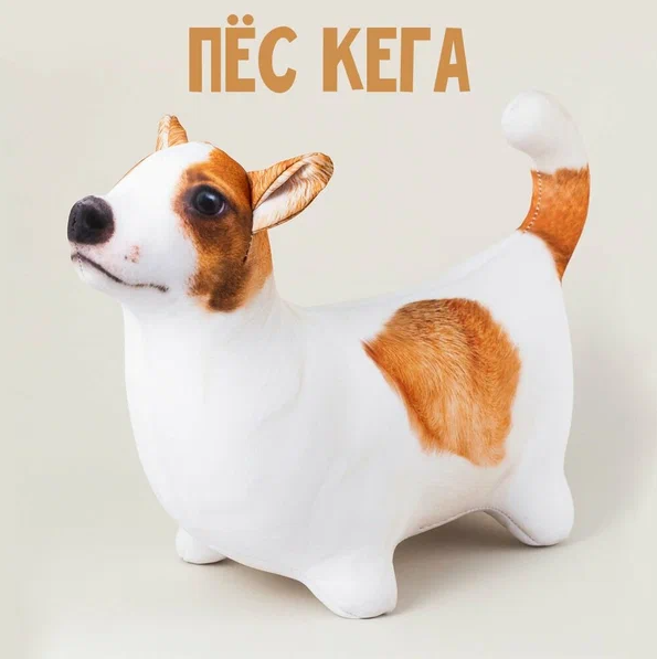 Кега | Блоптоп.Вики | Fandom