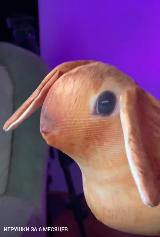 Кролик | Блоптоп.Вики | Fandom