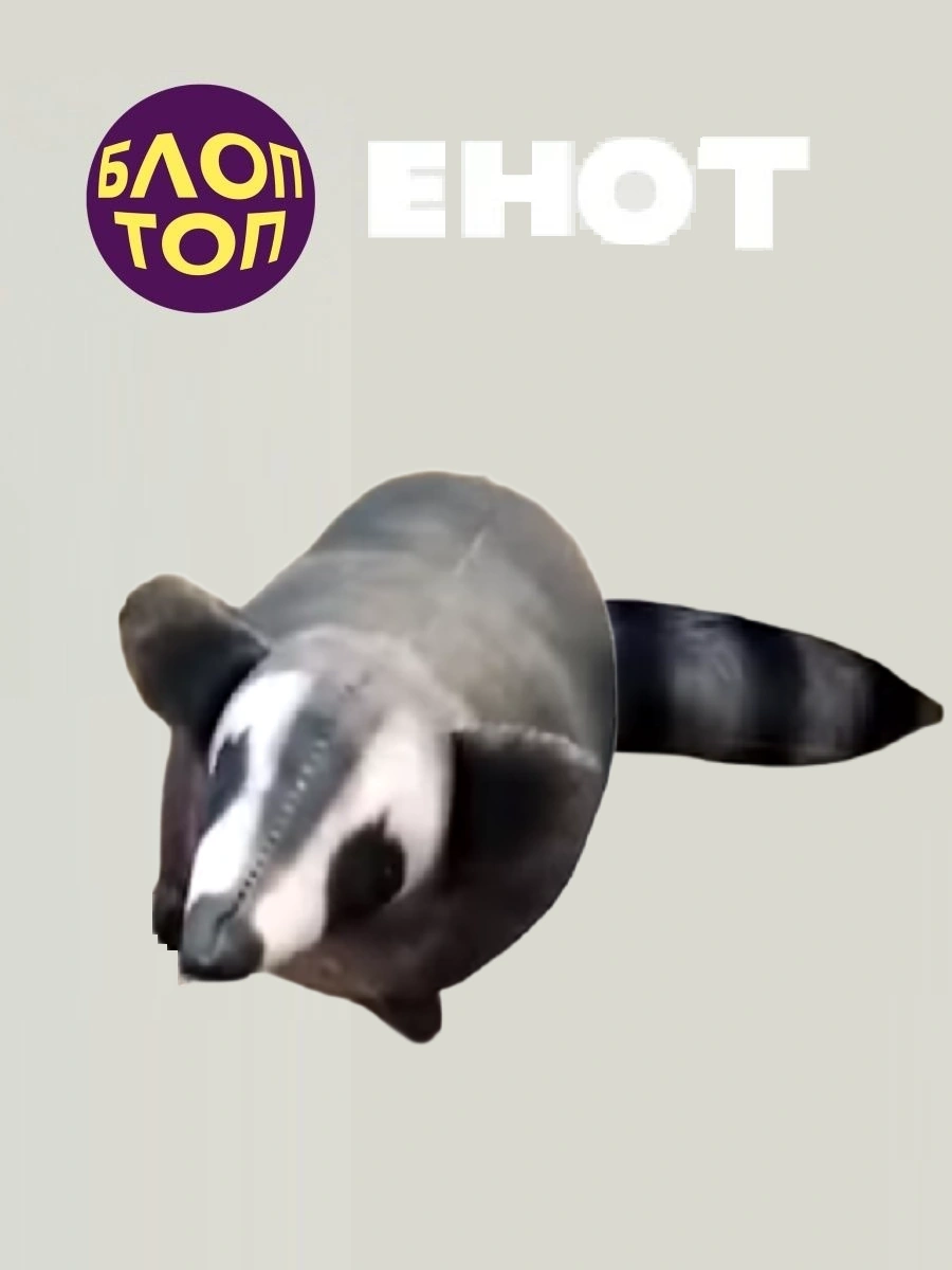 Енот | Блоптоп.Вики | Fandom