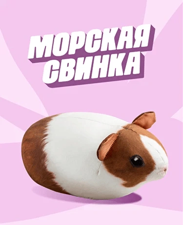 Морская свинка | Блоптоп.Вики | Fandom