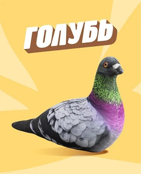 Голубь | Блоптоп.Вики | Fandom