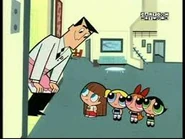 Robin Snyder | The Powerpuff Girls: Action Time Wiki | Fandom