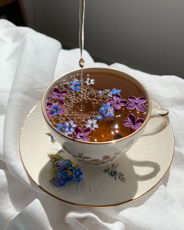 Adenieux Tea Banquet Blossom Nations Wiki Fandom