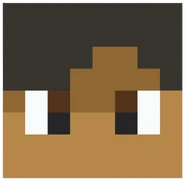 Player | Bloxd.io Wiki | Fandom