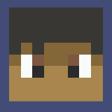 Skins | Bloxd.io Wiki | Fandom