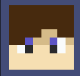 Skins | Bloxd.io Wiki | Fandom