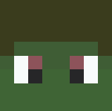 Skins | Bloxd.io Wiki | Fandom