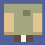 Skins | Bloxd.io Wiki | Fandom