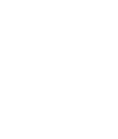 SCHALE | Blue Archive Wiki | Fandom