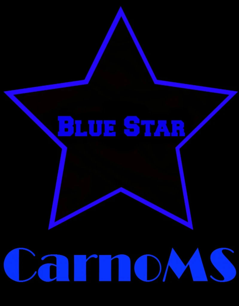 Blue Star (First Book) | Blue Star: The Superhero Wikia | Fandom