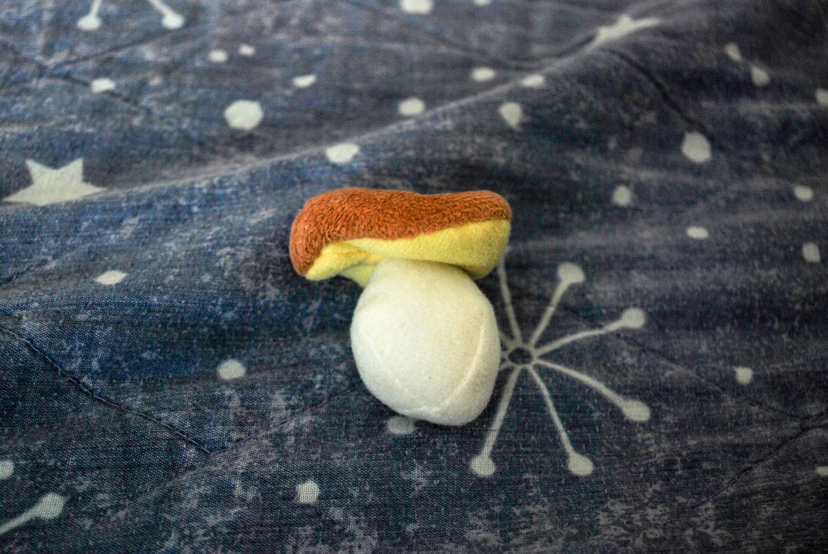 Mushy | BlueBear Wiki | Fandom