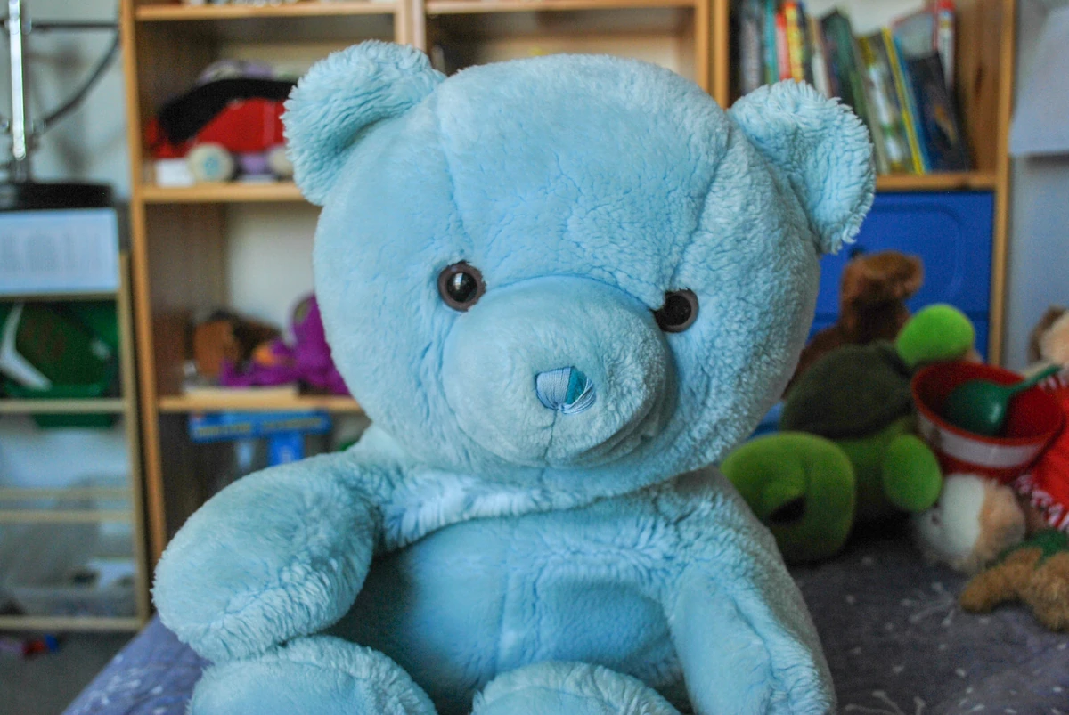 BlueBear | BlueBear Wiki | Fandom