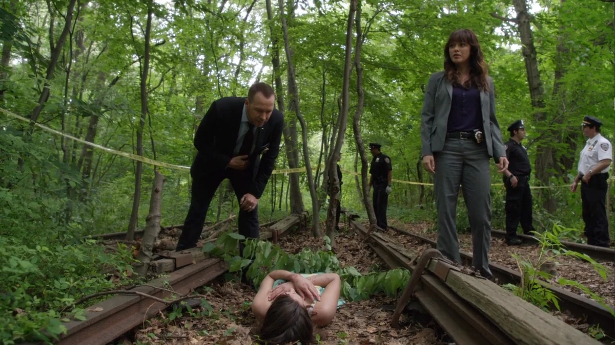 Absolute Power/Gallery | Blue Bloods Wiki | Fandom