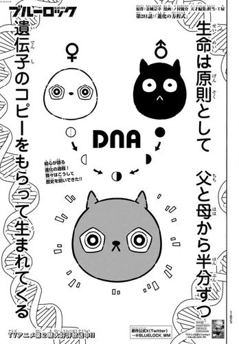 Chapter 281 | Blue Lock Wiki | Fandom