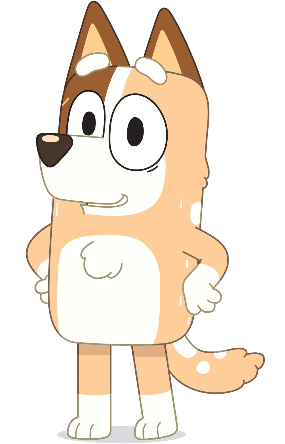 Chilli Heeler | Bluey! All Grown Up! Wiki | Fandom