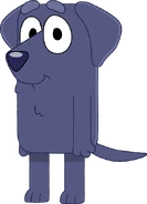 Bluey: Extended Timeline Wiki | Fandom