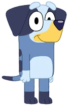 Bluey: Extended Timeline Wiki | Fandom