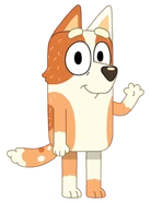 Bluey: Extended Timeline Wiki | Fandom