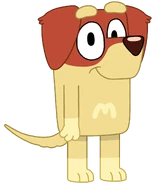 Bluey: Extended Timeline Wiki | Fandom